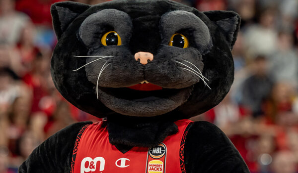 What's On - RAC Arena - Concert Venues Perth